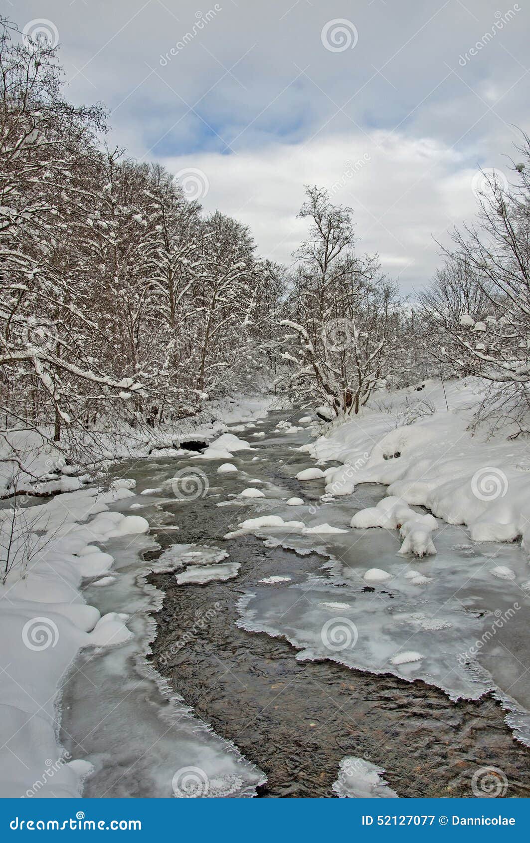 Winter River Landscape with Snow-covered Trees on a Cloudy Day Stock ...