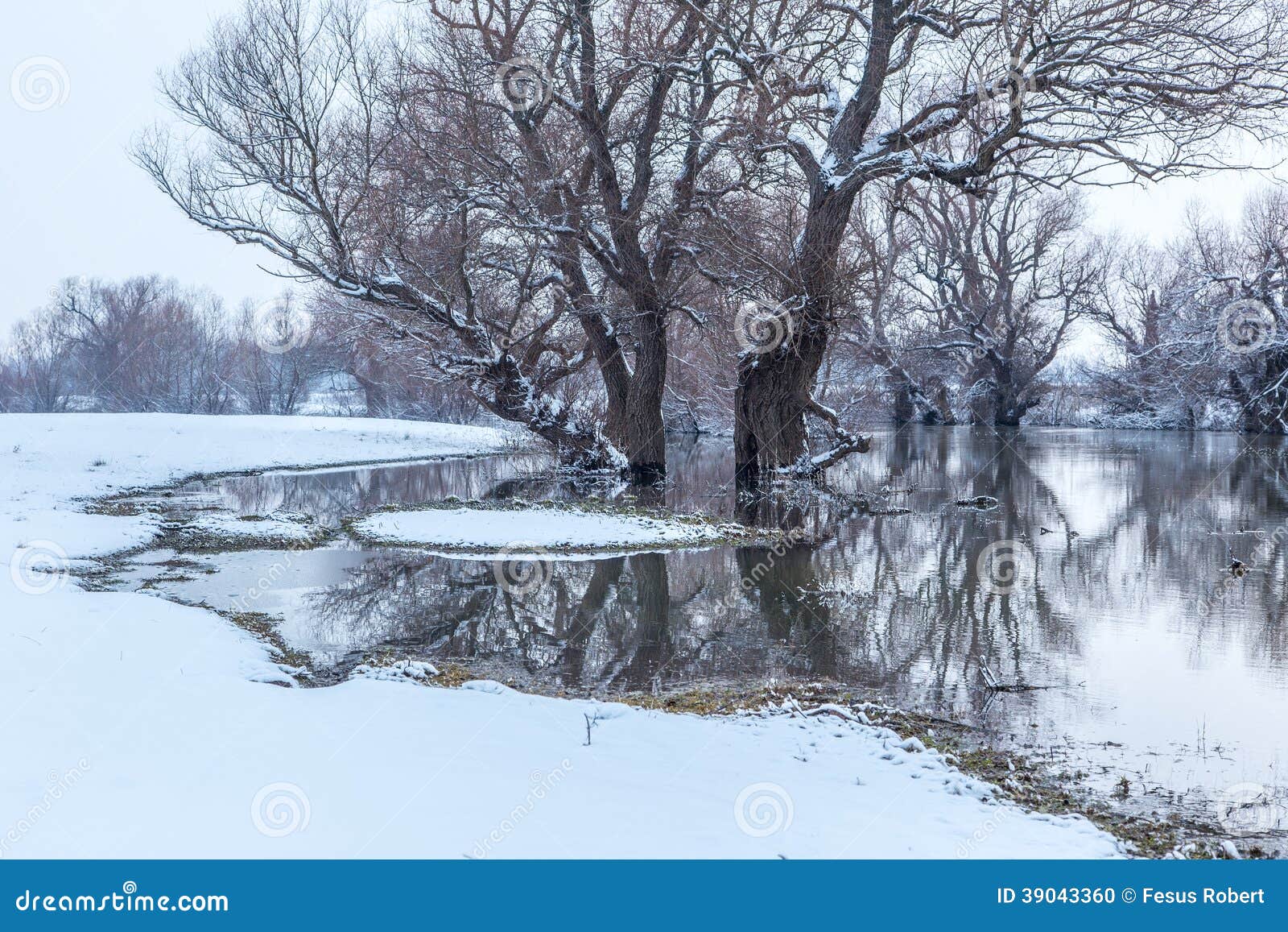 Winter river landscape stock photo. Image of frosty, scenic - 39043360