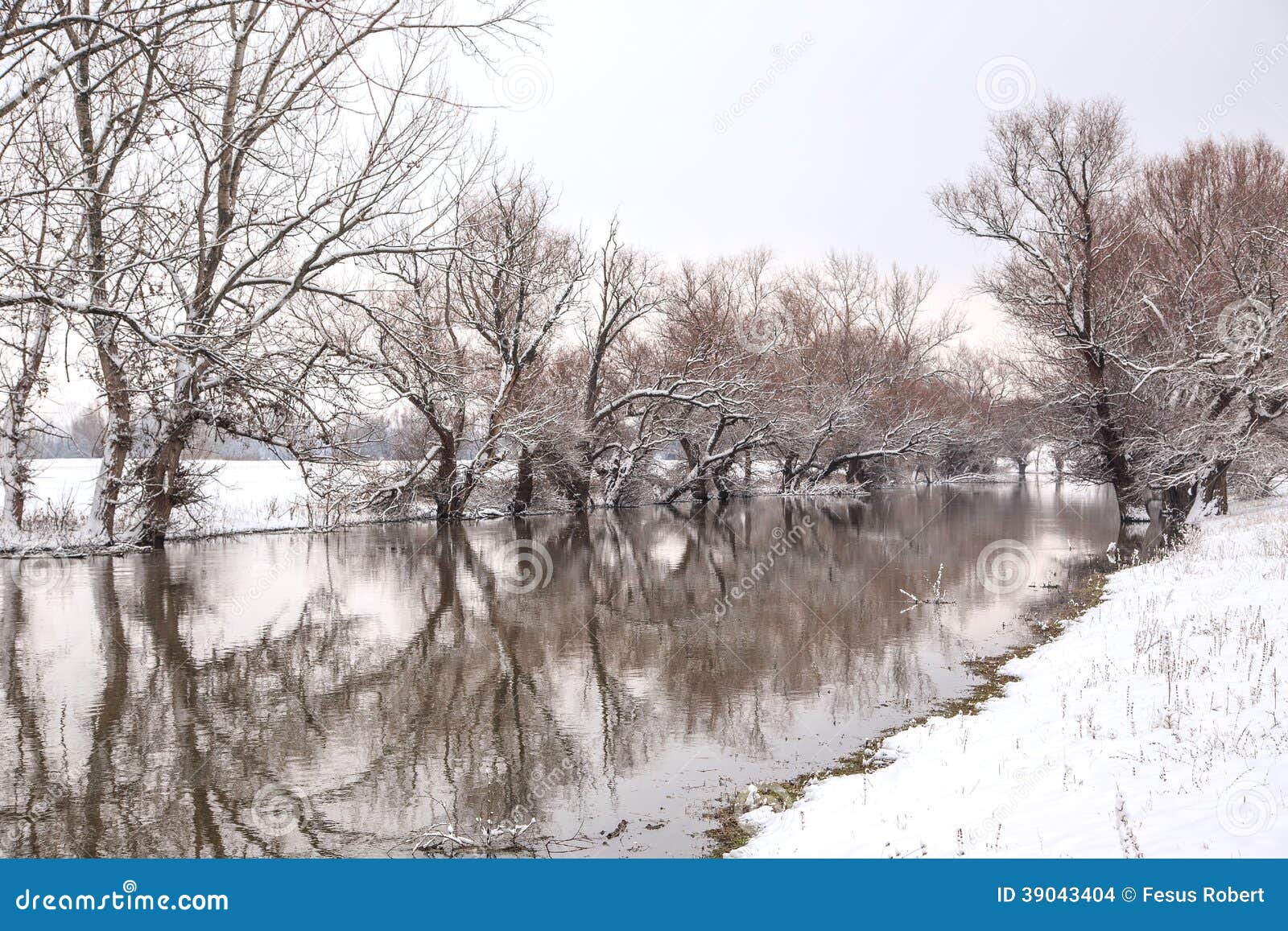 Winter river landscape stock photo. Image of frosty, peaceful - 39043404