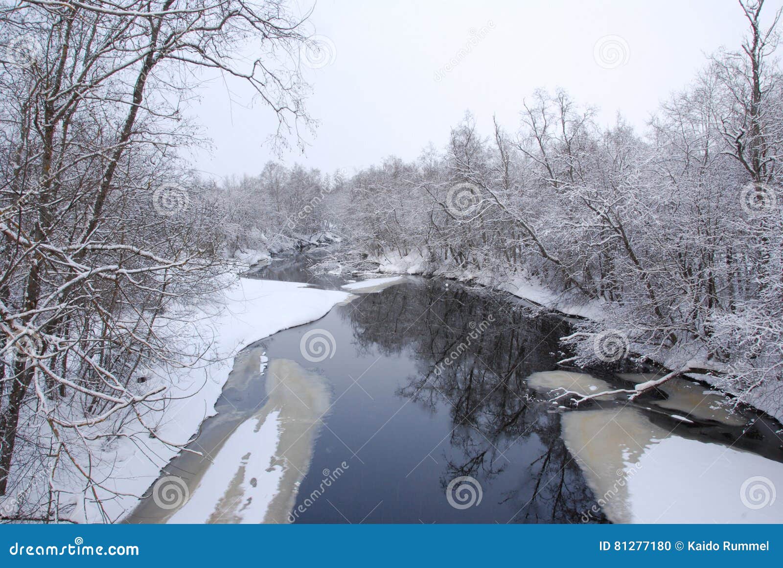 Winter river stock photo. Image of freezing, frosty, forest - 81277180
