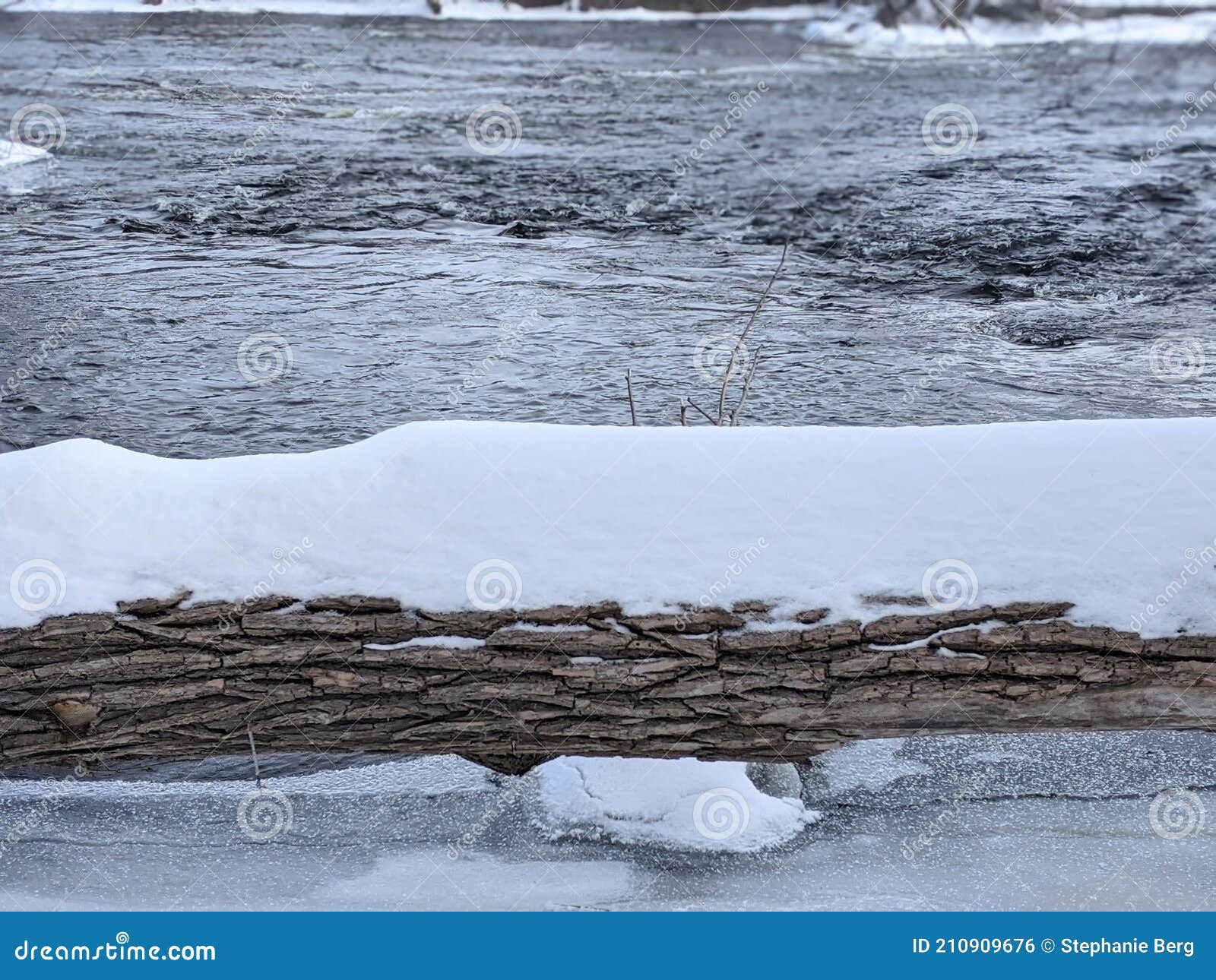 Winter River Snow Scene with Ice and Trees Cold Stock Photo - Image of ...