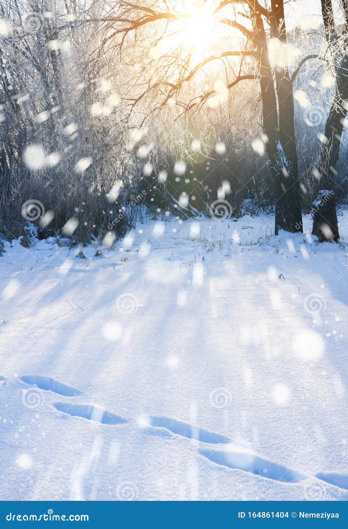 Winter season at snowfall stock photo. Image of scenic - 164861404