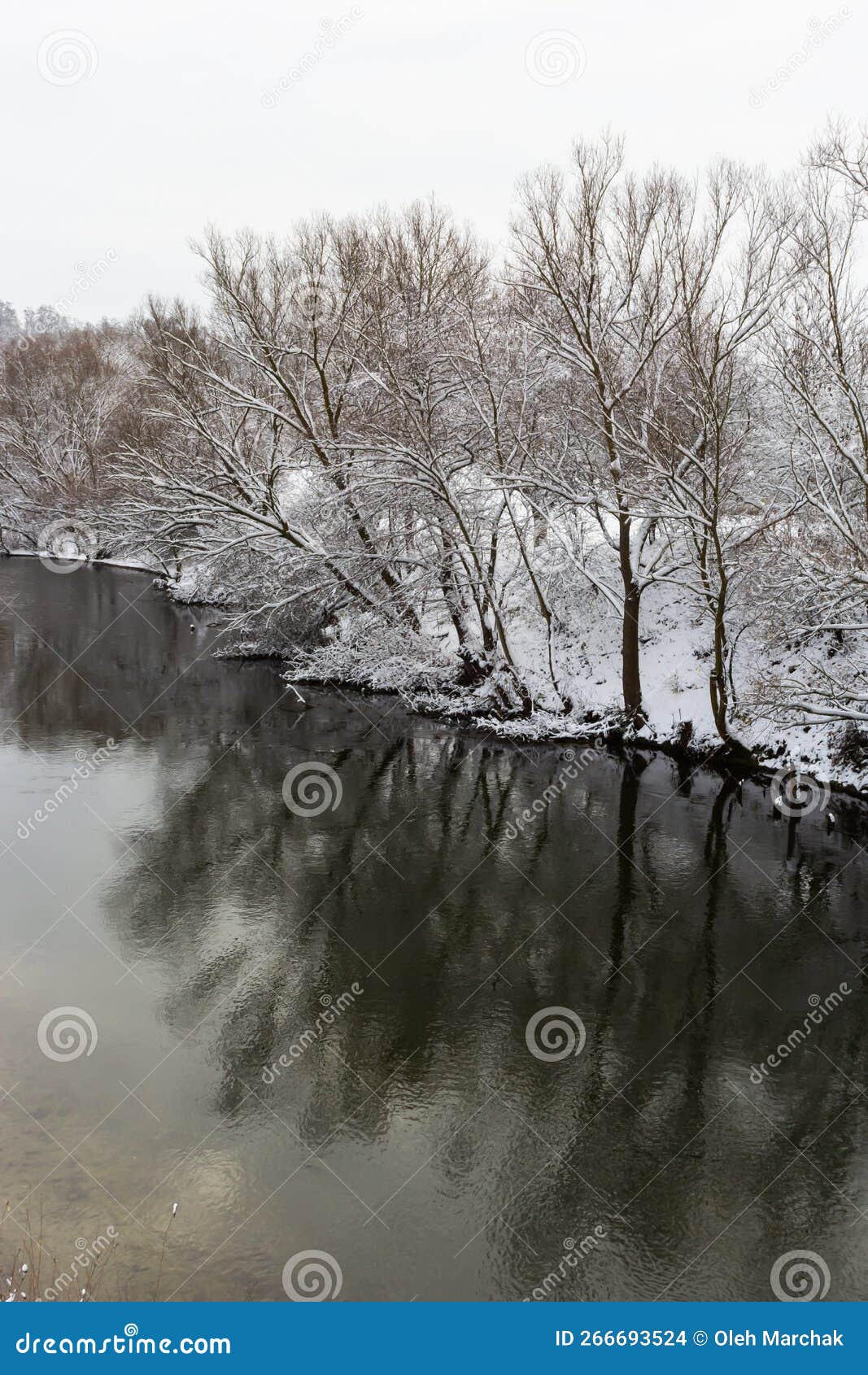 Winter River, Trees in the Snow, View of the Snow-covered Forest Stock ...