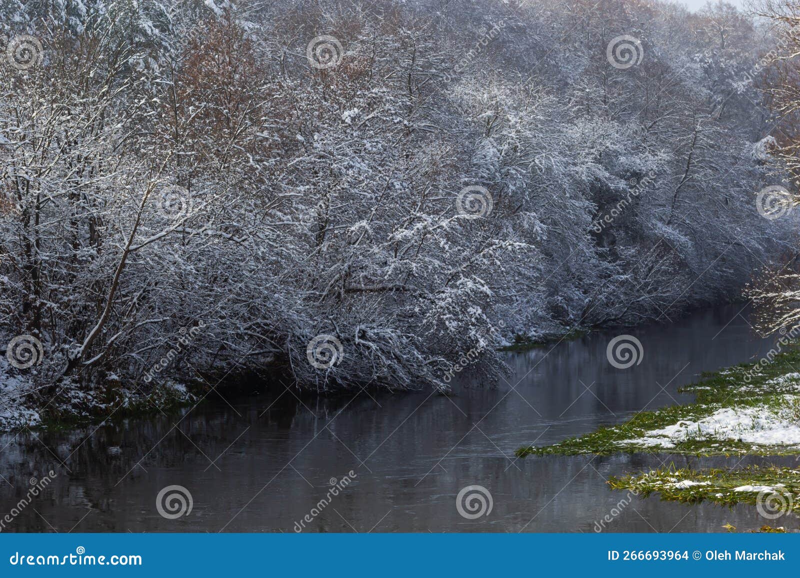 Winter River, Trees in the Snow, View of the Snow-covered Forest Stock ...