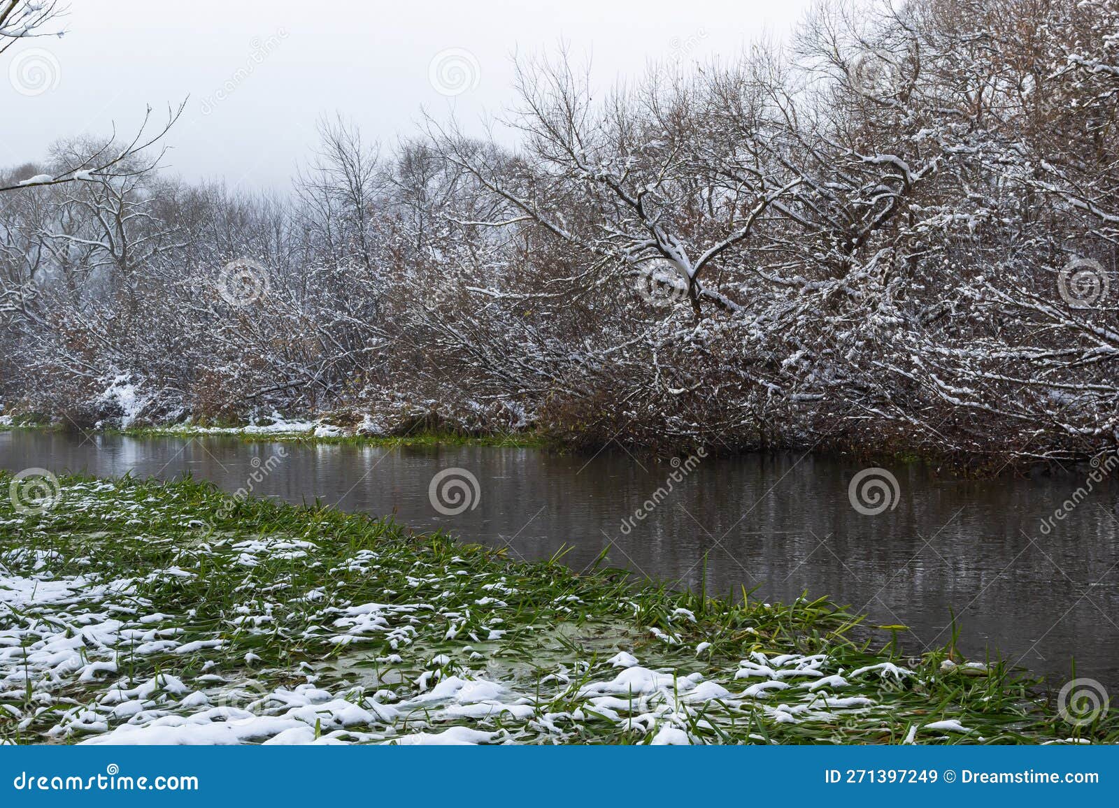 Winter River, Trees in the Snow, View of the Snow-covered Forest Stock ...