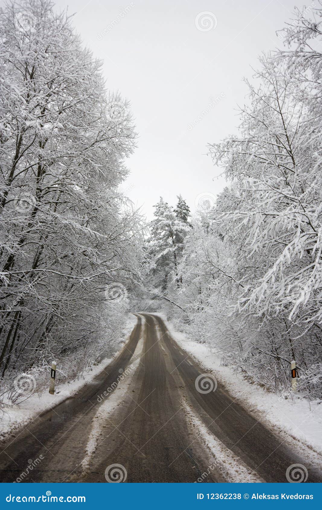 Winter road stock photo. Image of climate, cold, season - 12362238