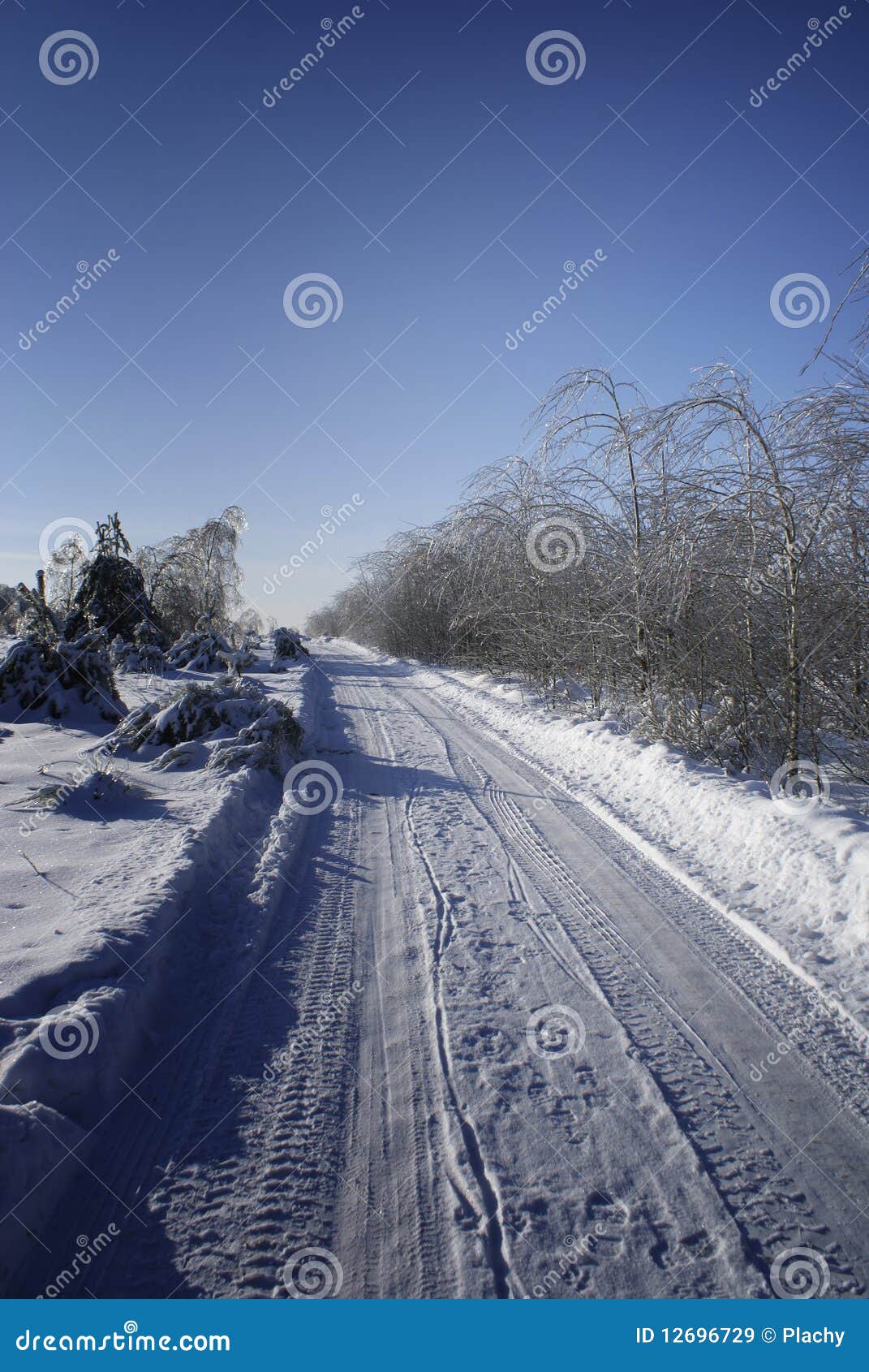 Winter road. stock image. Image of frost, rural, frozen - 12696729