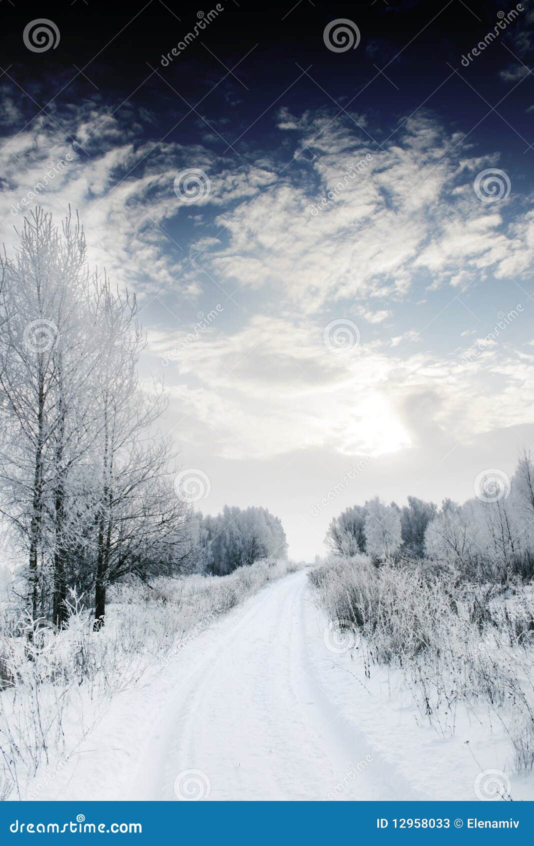 Winter road. stock image. Image of road, january, perspective - 12958033