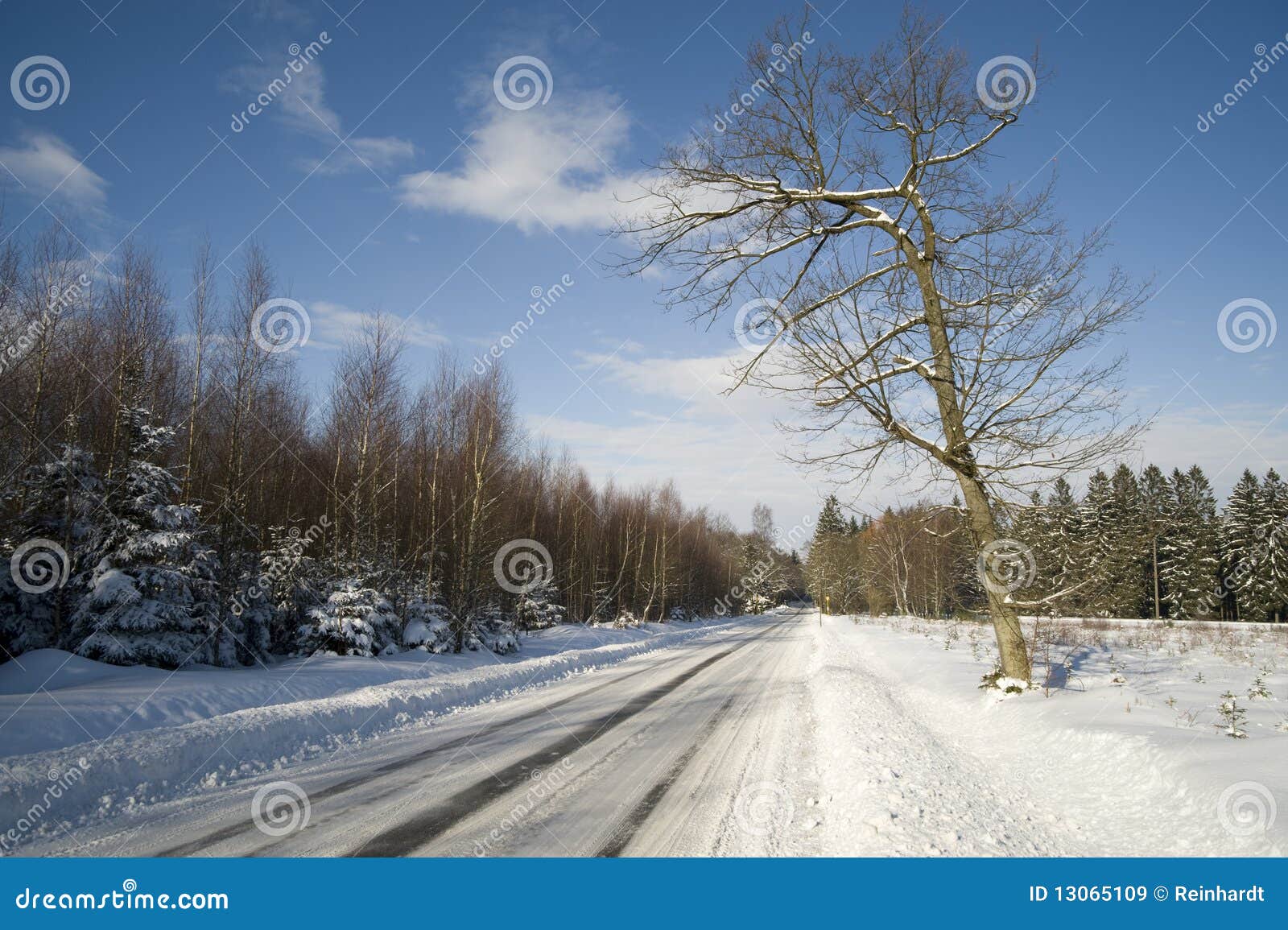 Winter road stock image. Image of tree, trees, lanes - 13065109