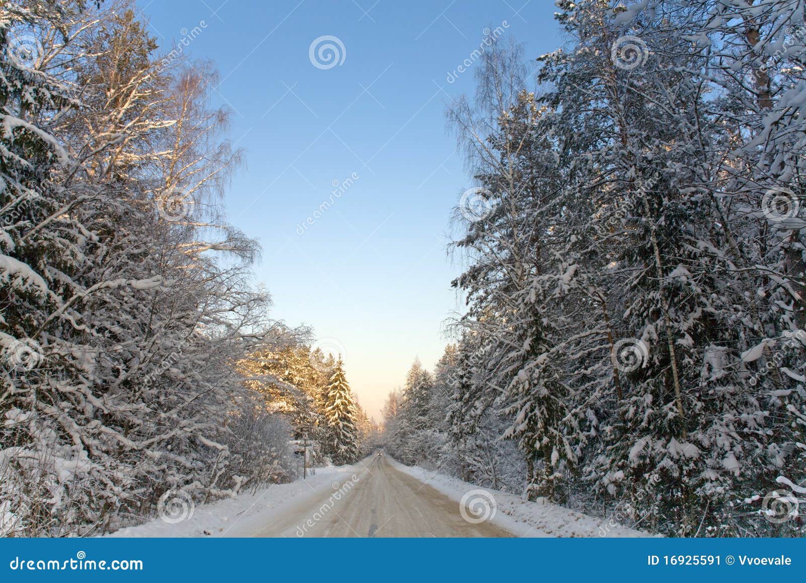 Winter road stock image. Image of snowdrift, white, park - 16925591