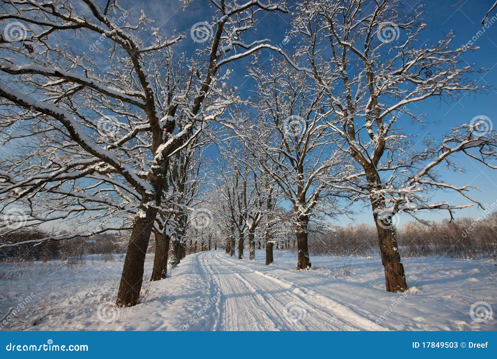 Winter road stock image. Image of lane, outdoors, december - 17849503