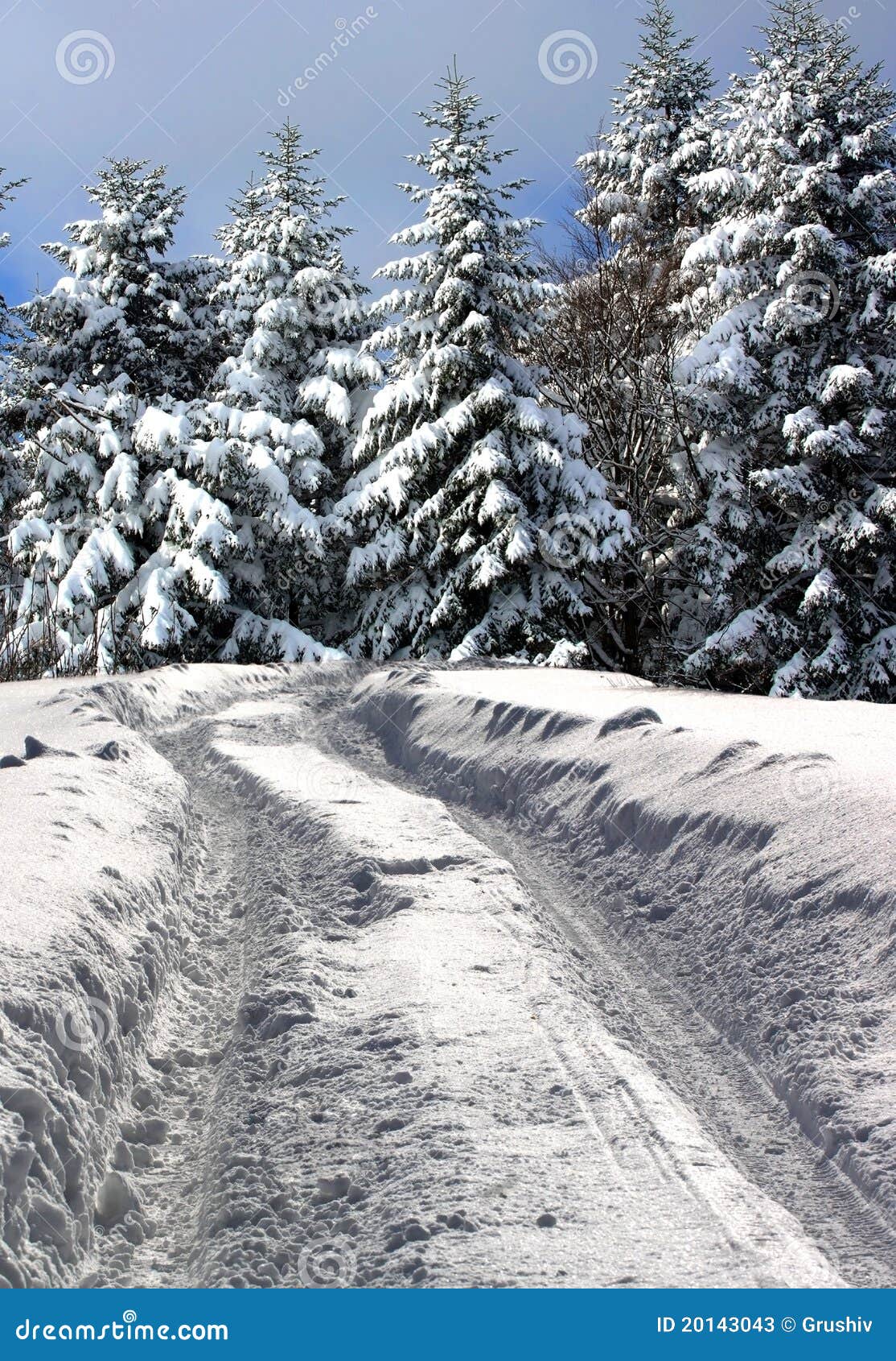 Winter road stock image. Image of frozen, field, frost - 20143043