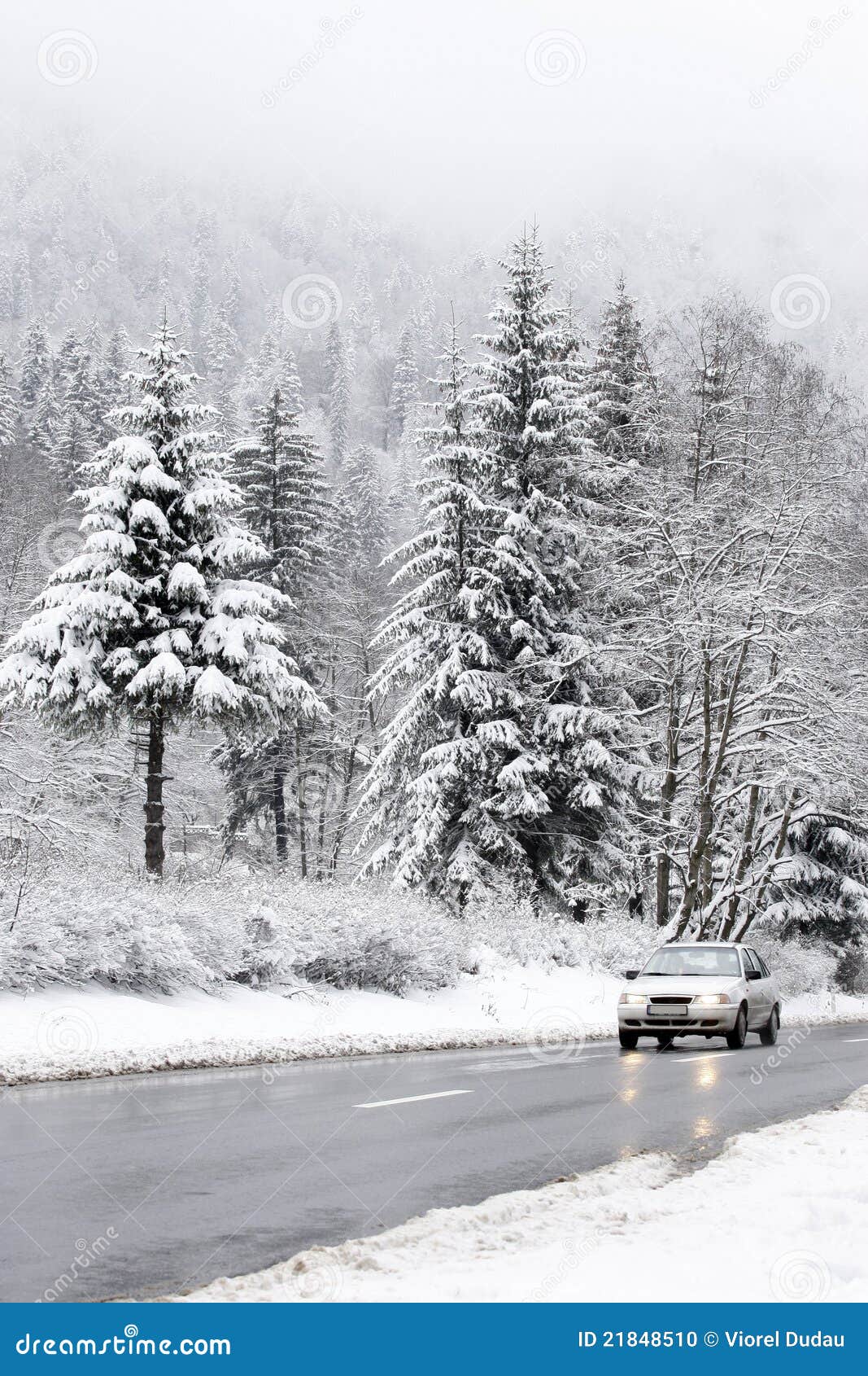 Winter road stock photo. Image of land, frozen, countryside - 21848510