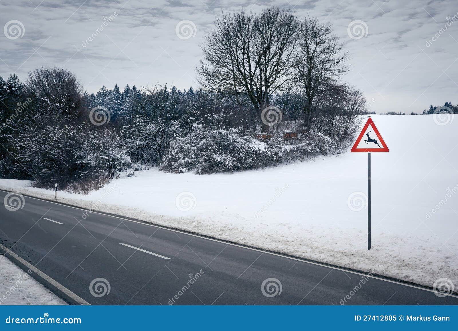 Winter road stock image. Image of january, nature, outdoors - 27412805
