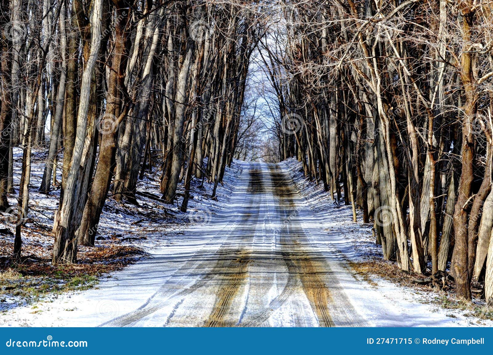 Winter Road stock image. Image of trees, winter, rural - 27471715