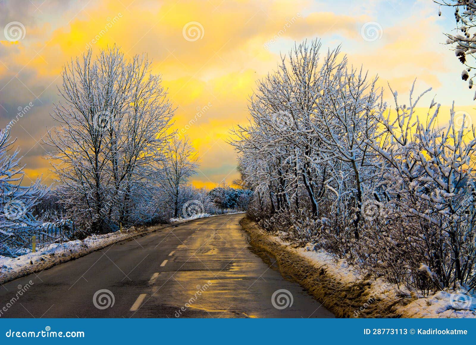 Winter road stock image. Image of season, cold, woods - 28773113