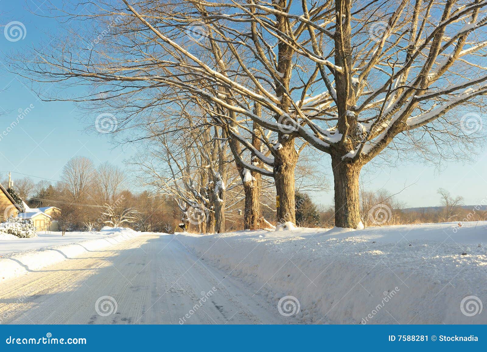 Winter road stock image. Image of season, country, frosty - 7588281