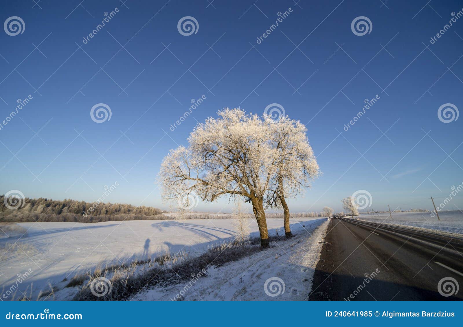 Winter Road Covered with Fresh Snow Stock Image - Image of season, plan ...