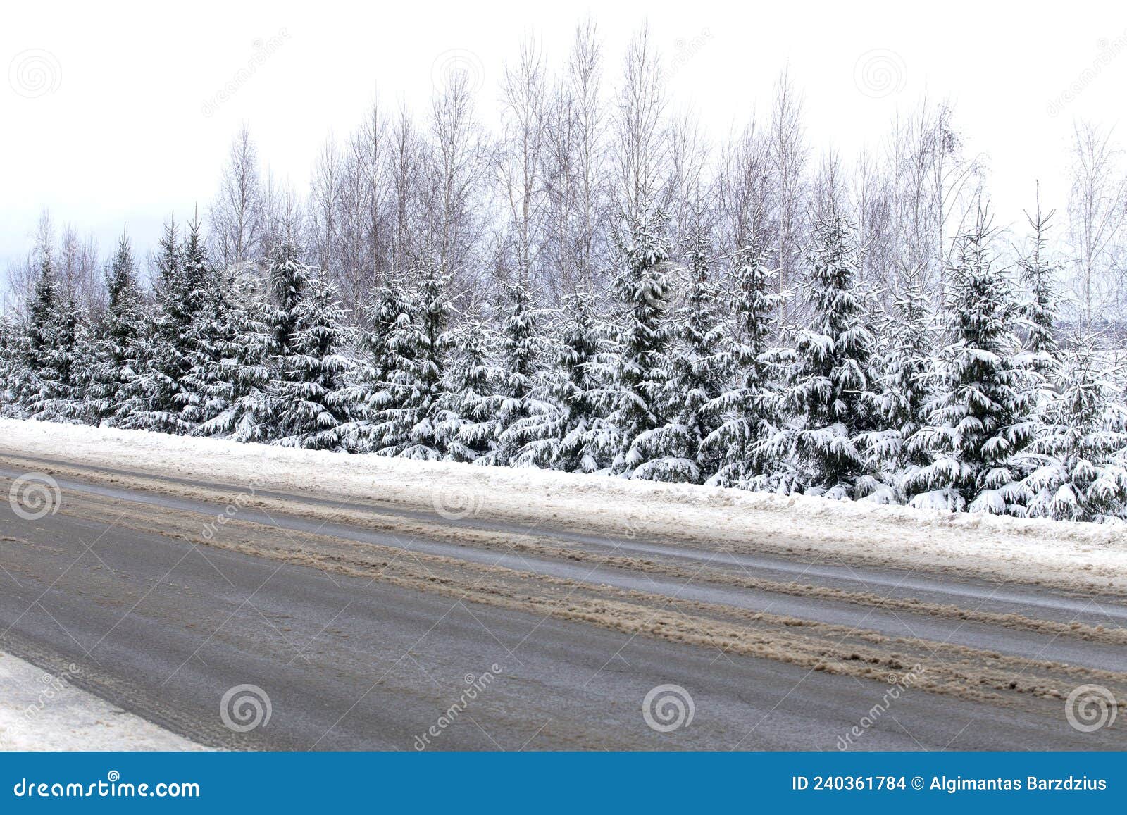 Winter Road Covered with Fresh Snow, Lithuania Stock Photo - Image of ...