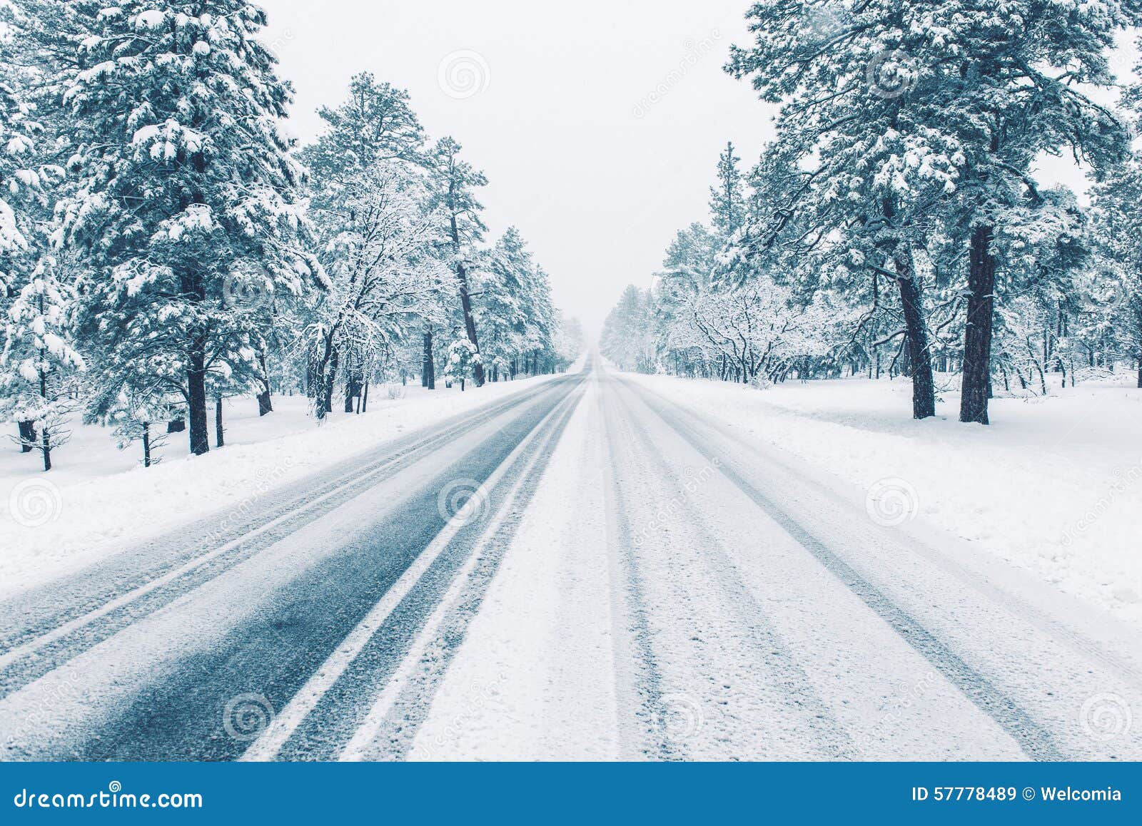 Winter Road Covered by Ice stock image. Image of freeze - 57778489