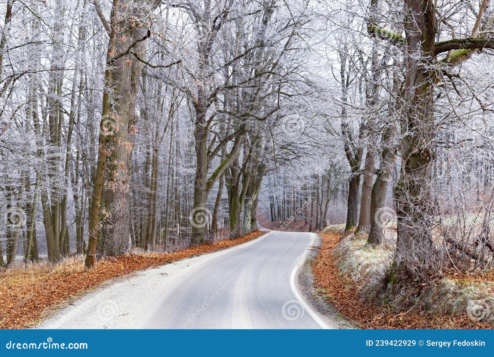 Winter Road in Czech Countryside Stock Image - Image of republic ...