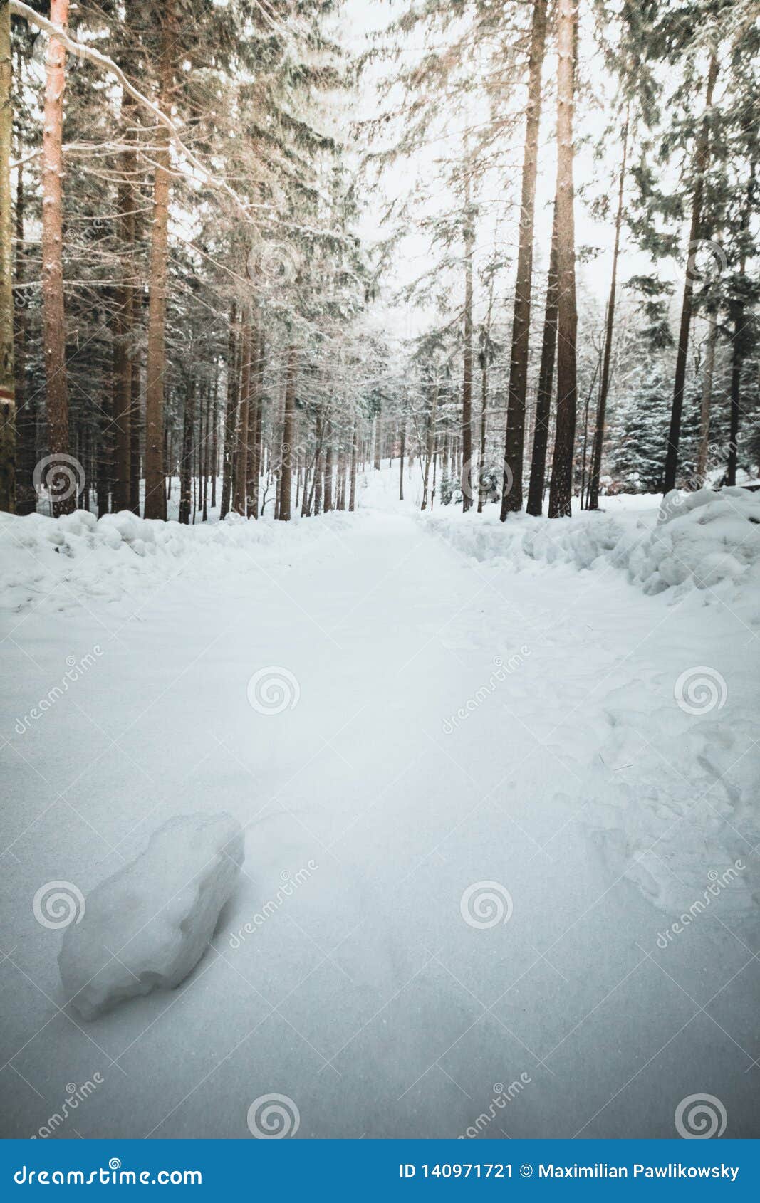 The Winter Road. Dramatic Scene in a Forest in Austria with Snow Stock ...