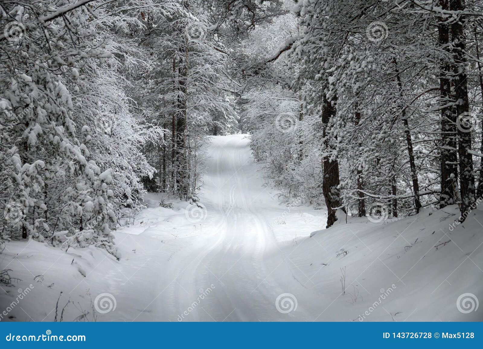 Winter Road through the Forest Stock Photo - Image of street, country ...