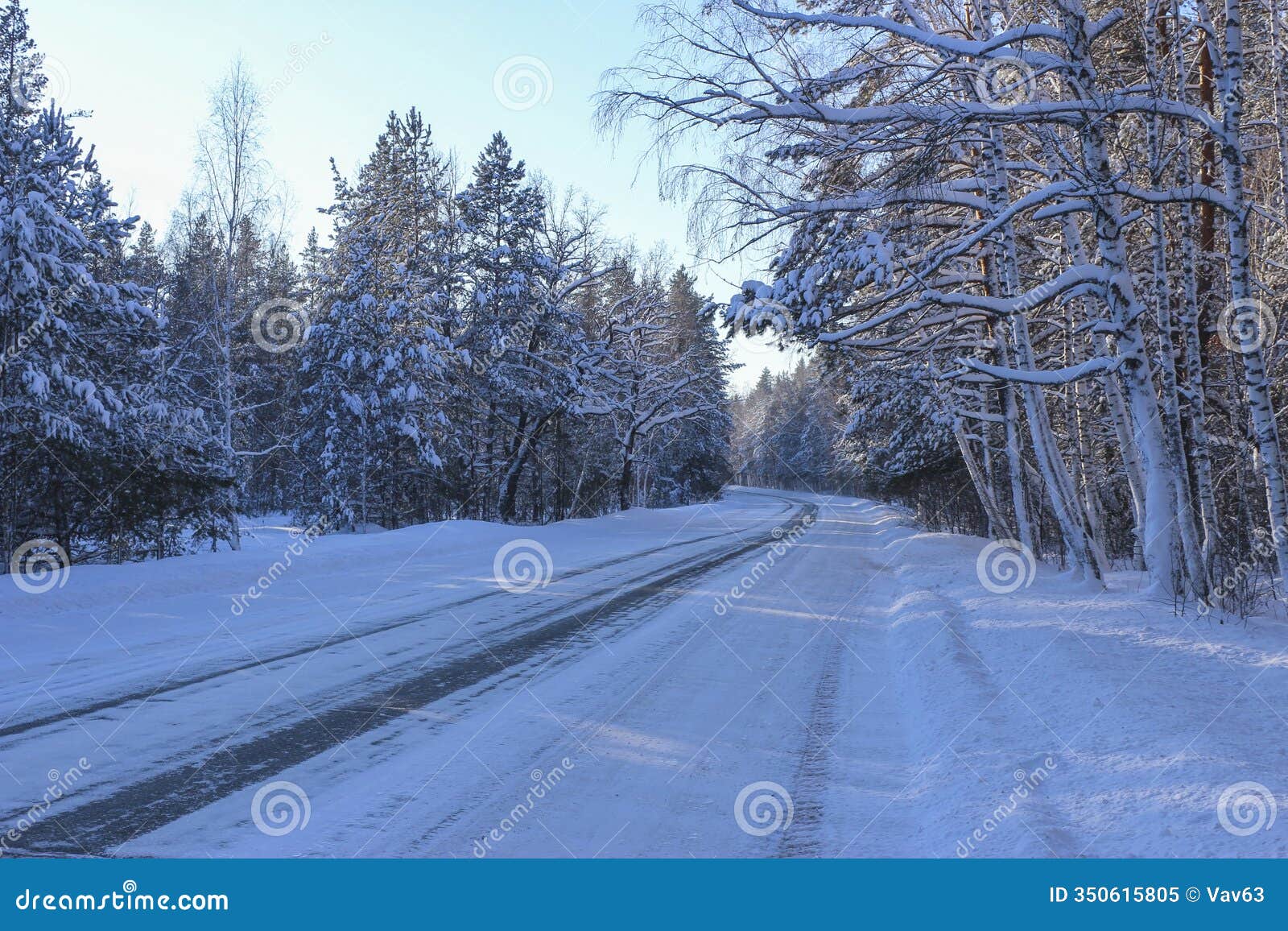 Winter road in the forest stock image. Image of road - 350615805