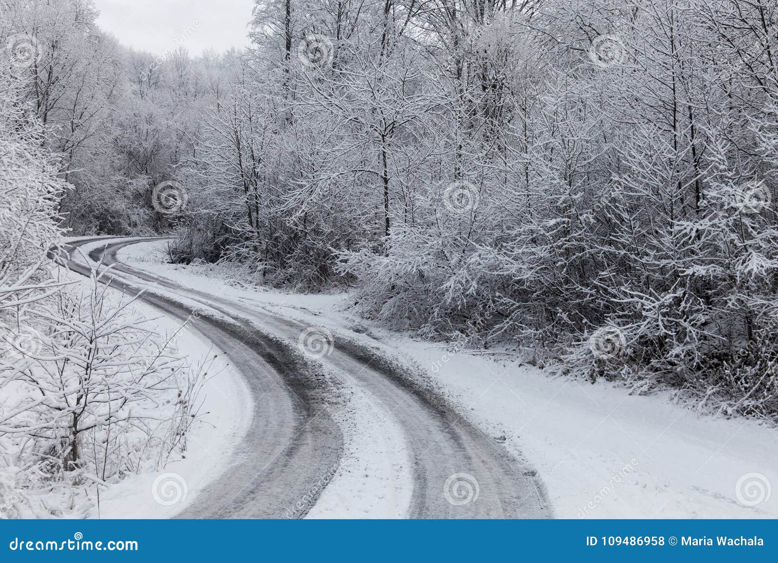 Winter Road through Icy Forest Covered in Snow after Ice Storm and ...