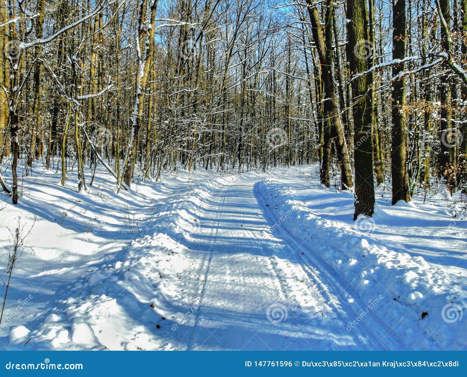 Winter Road Leading To an Unknown Country. Stock Photo - Image of ...