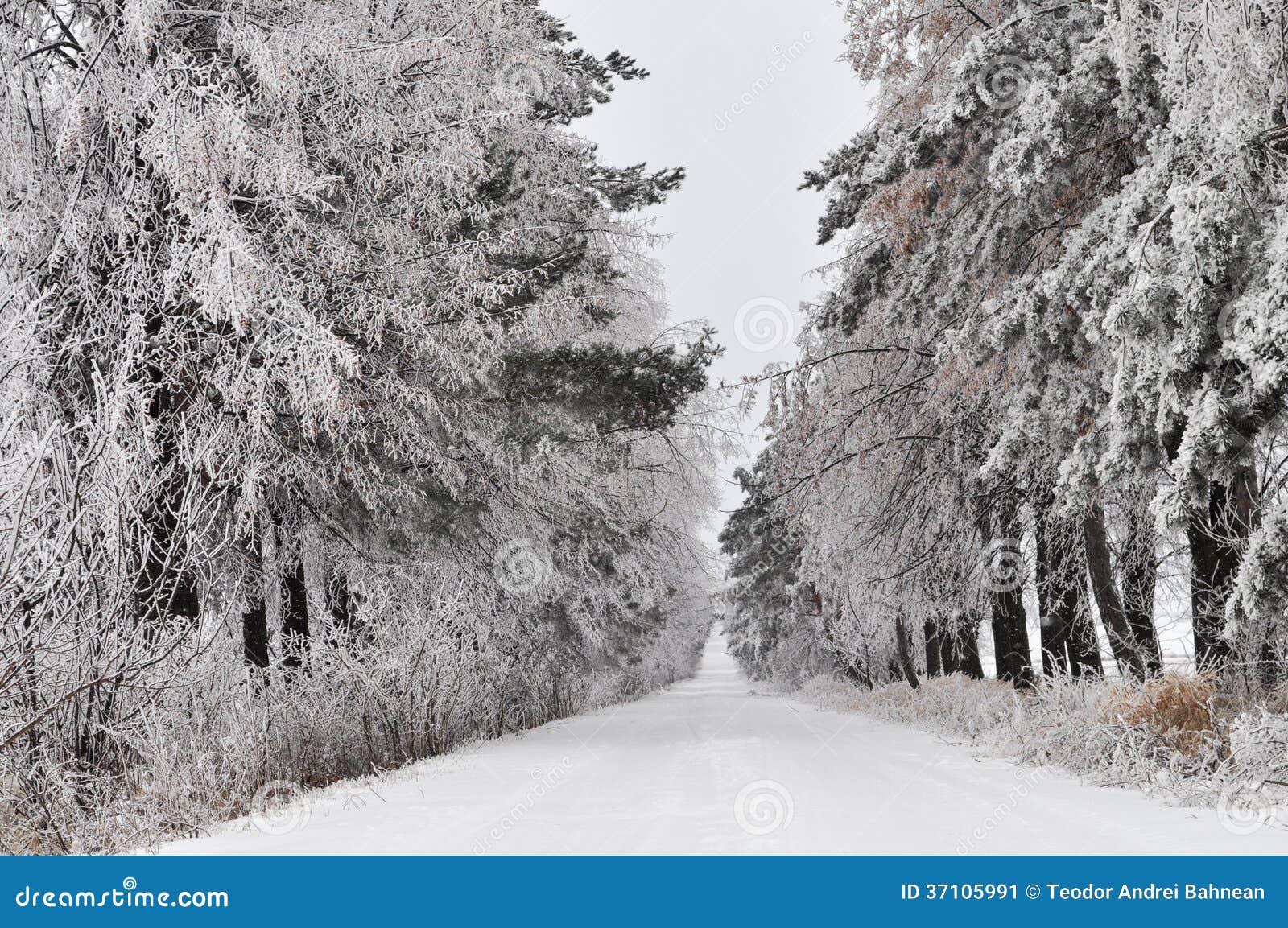 Winter road stock image. Image of white, road, long, blurry - 37105991