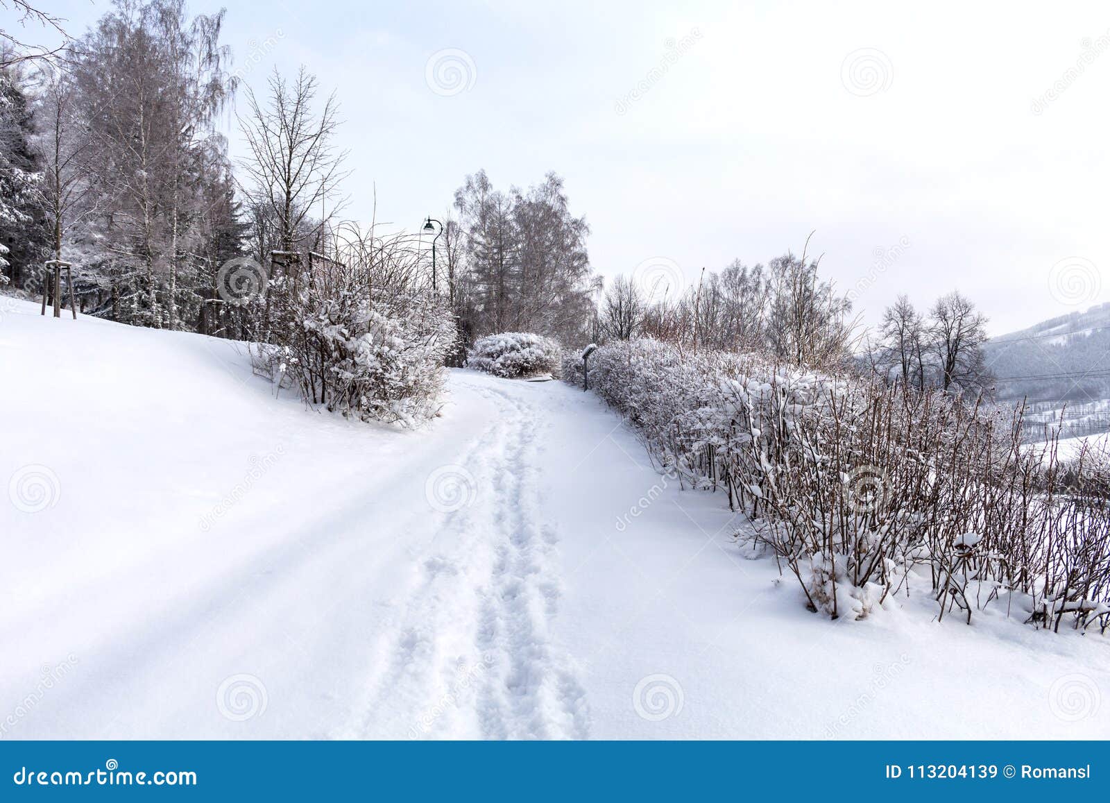 Winter Road Near Frozen Trees Stock Image - Image of landscape, freeze ...