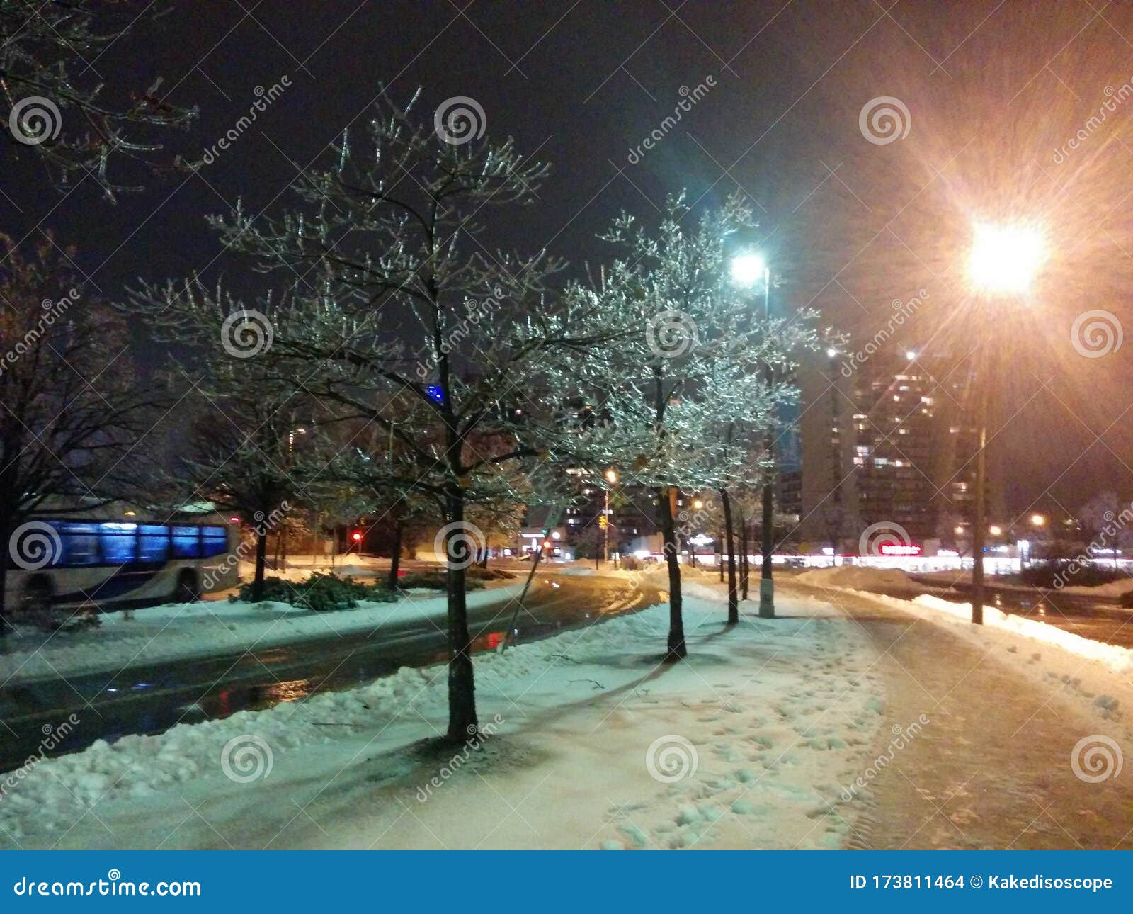 Winter Road at Night stock photo. Image of frost, urban - 173811464