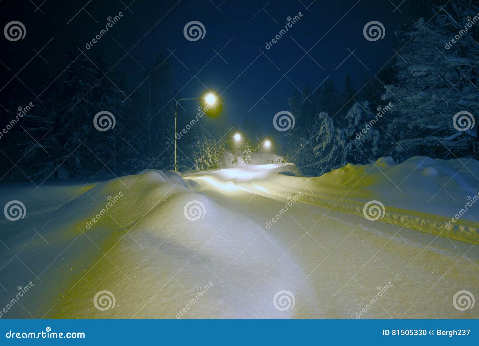 Winter road stock photo. Image of winter, white, snow - 81505330