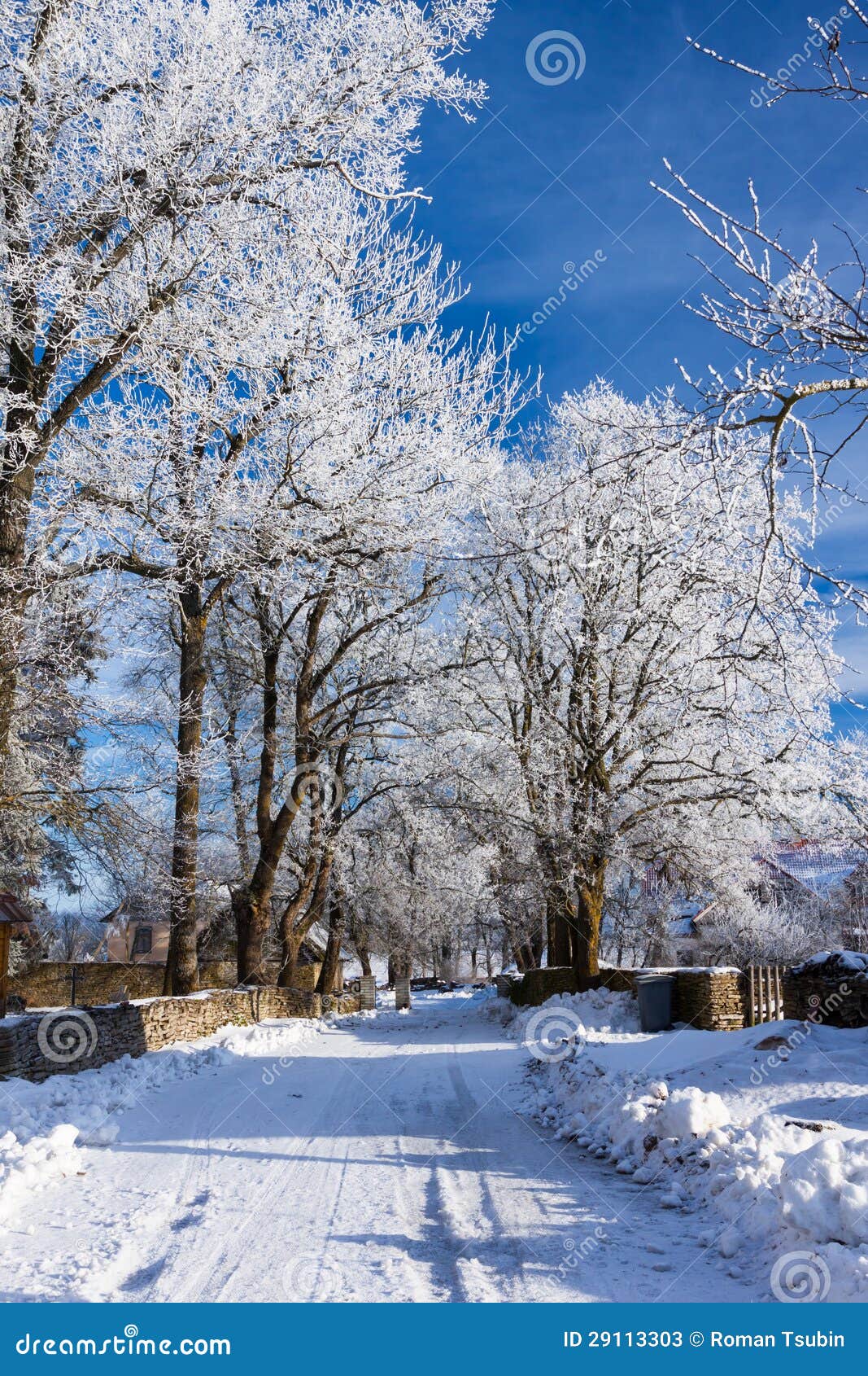 Winter Road Running between the Frozen Trees. Stock Image - Image of ...
