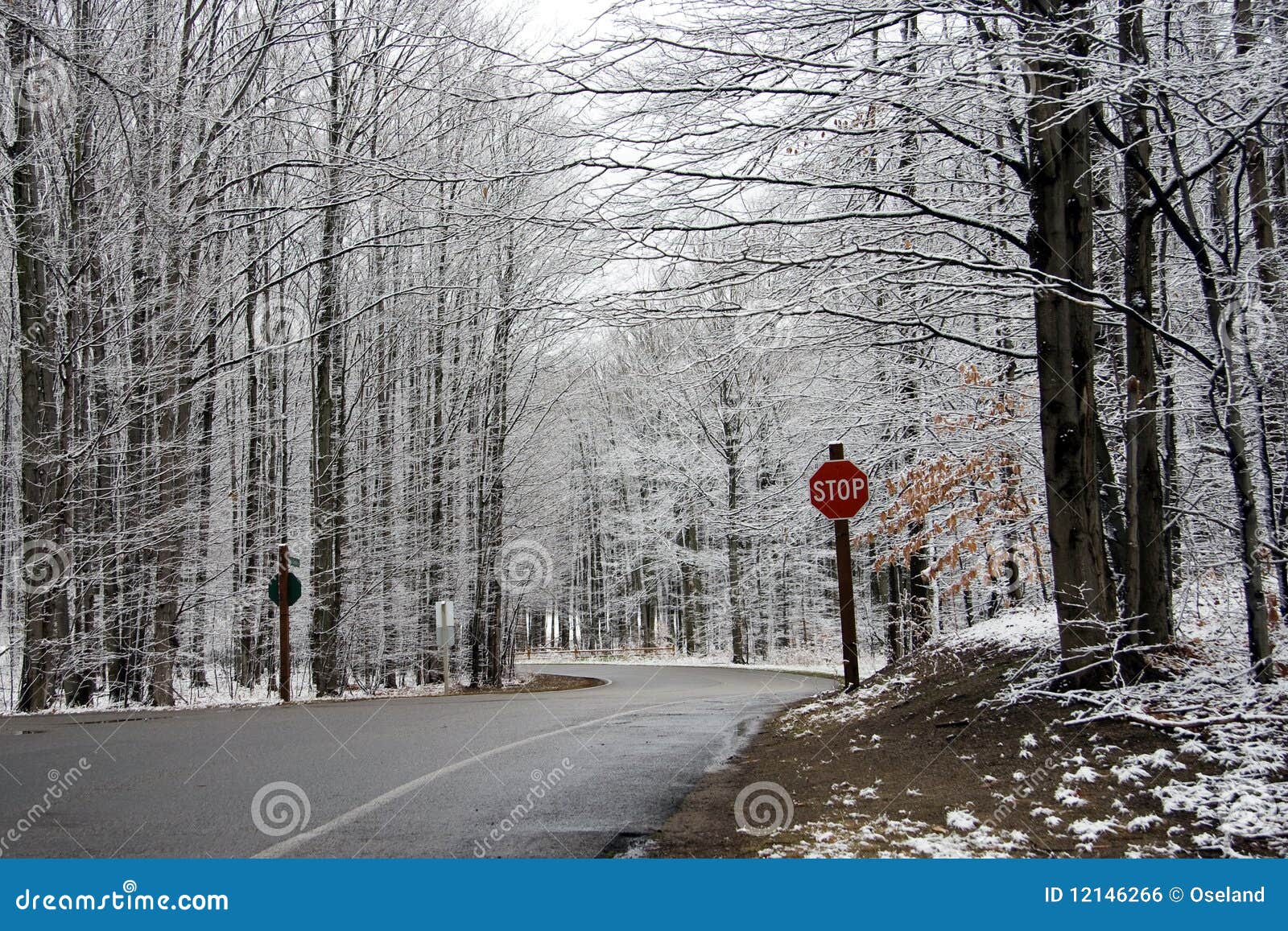 Winter Road Scene stock photo. Image of trees, stop, sign - 12146266