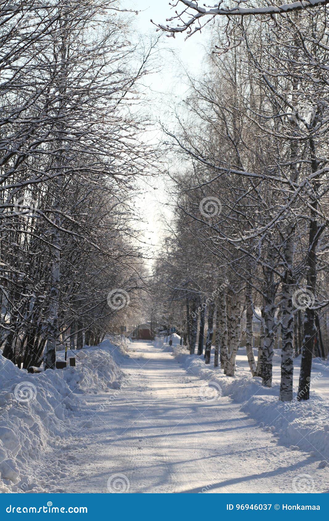 Winter road stock image. Image of scene, tree, snow, beautiful - 96946037
