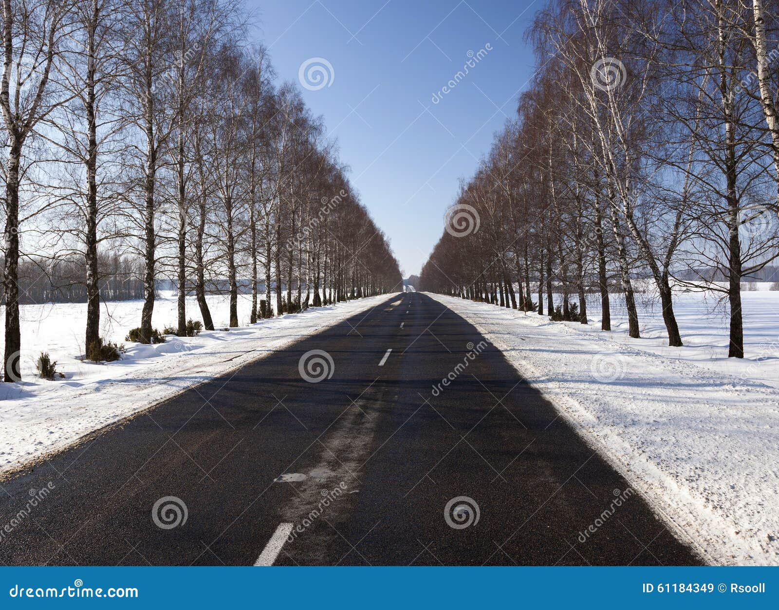 Winter road with snow stock image. Image of cold, empty - 61184349