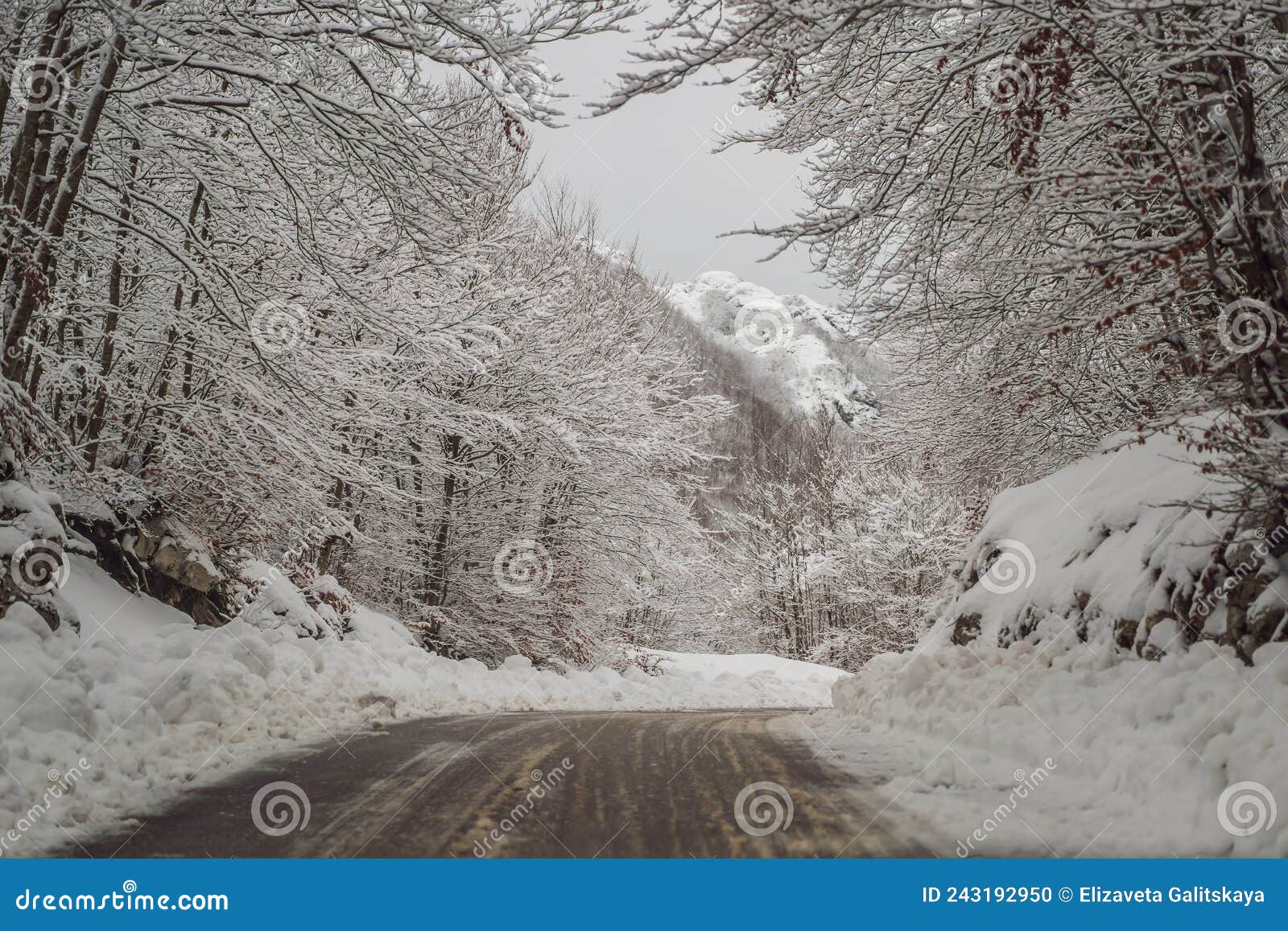 Winter Road in the Snow. Winter Road Trip Stock Photo - Image of road ...
