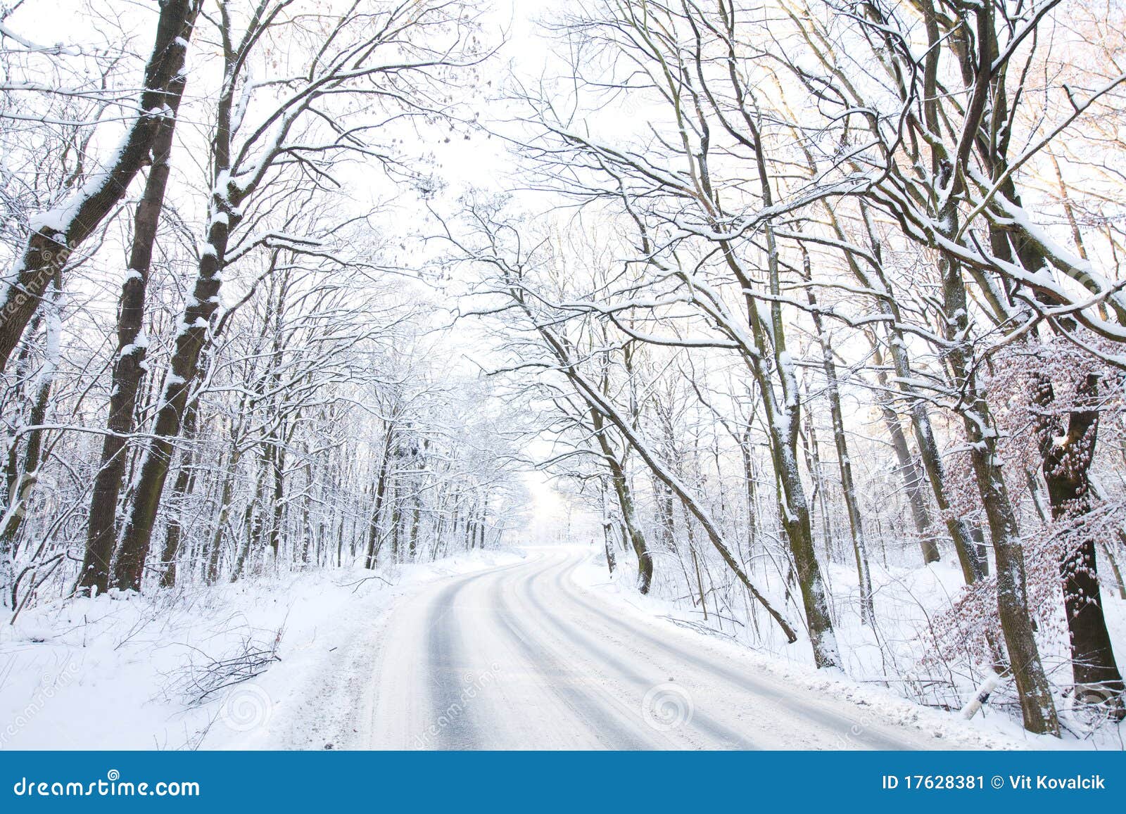 Winter Road in Snowy Forest Stock Image - Image of flora, route: 17628381