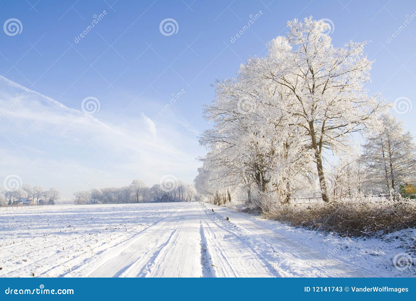 Winter Road and Snowy Landscape Stock Image - Image of lonely ...