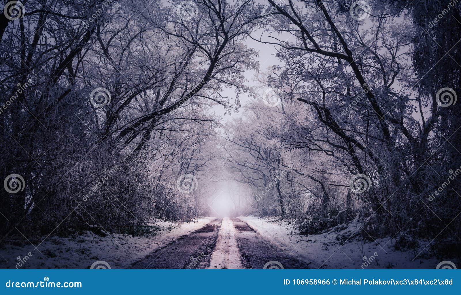 Winter Road Surrounded by Trees Stock Photo - Image of white, snowy ...