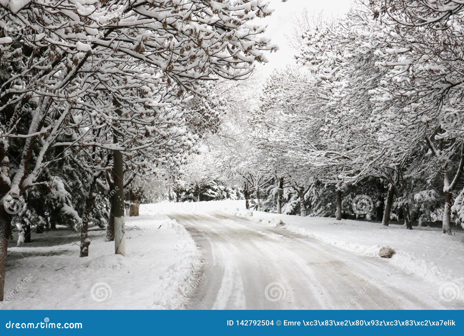 Winter Road among Trees, Snown. Stock Photo - Image of season, weather ...