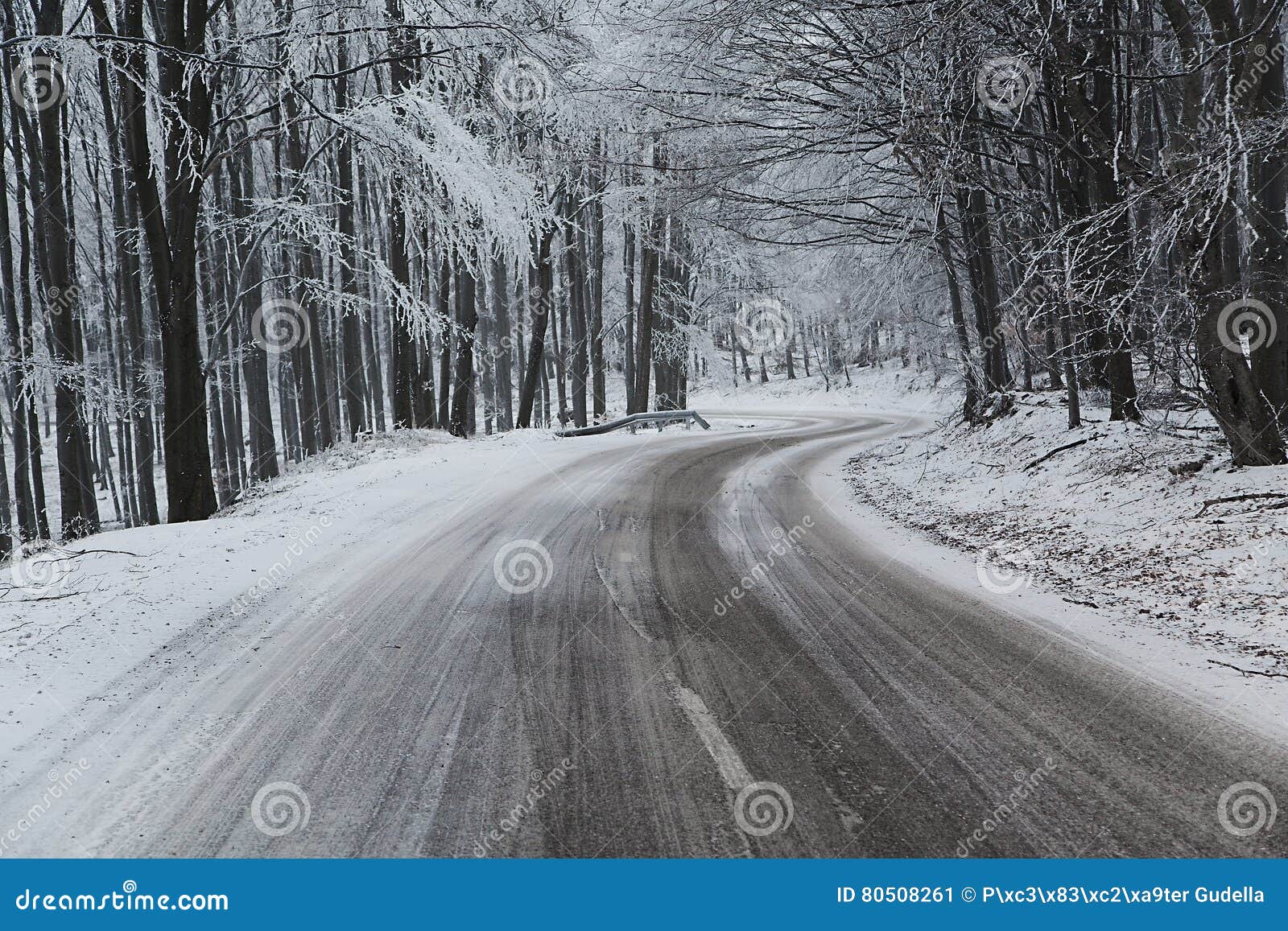 Winter Road Turns stock image. Image of lane, forest - 80508261