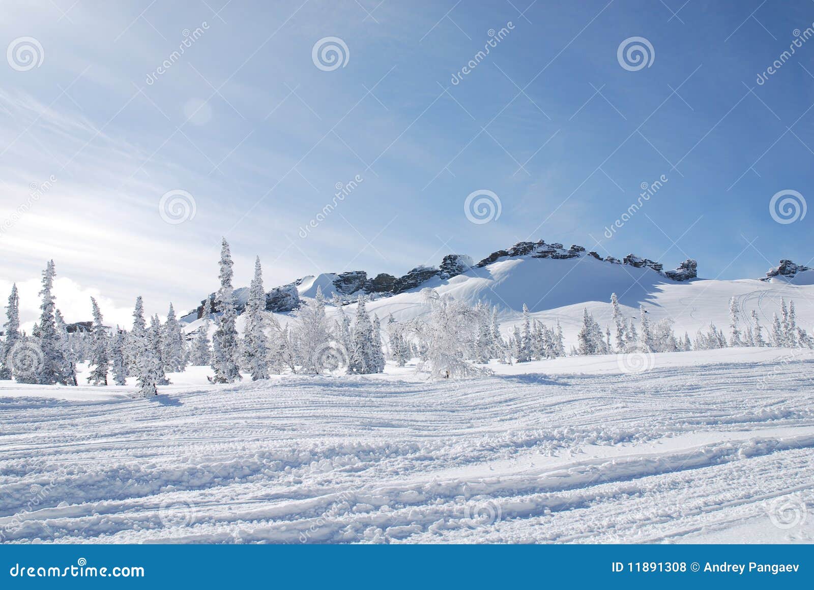 Winter Rocks stock photo. Image of alpine, green, background - 11891308
