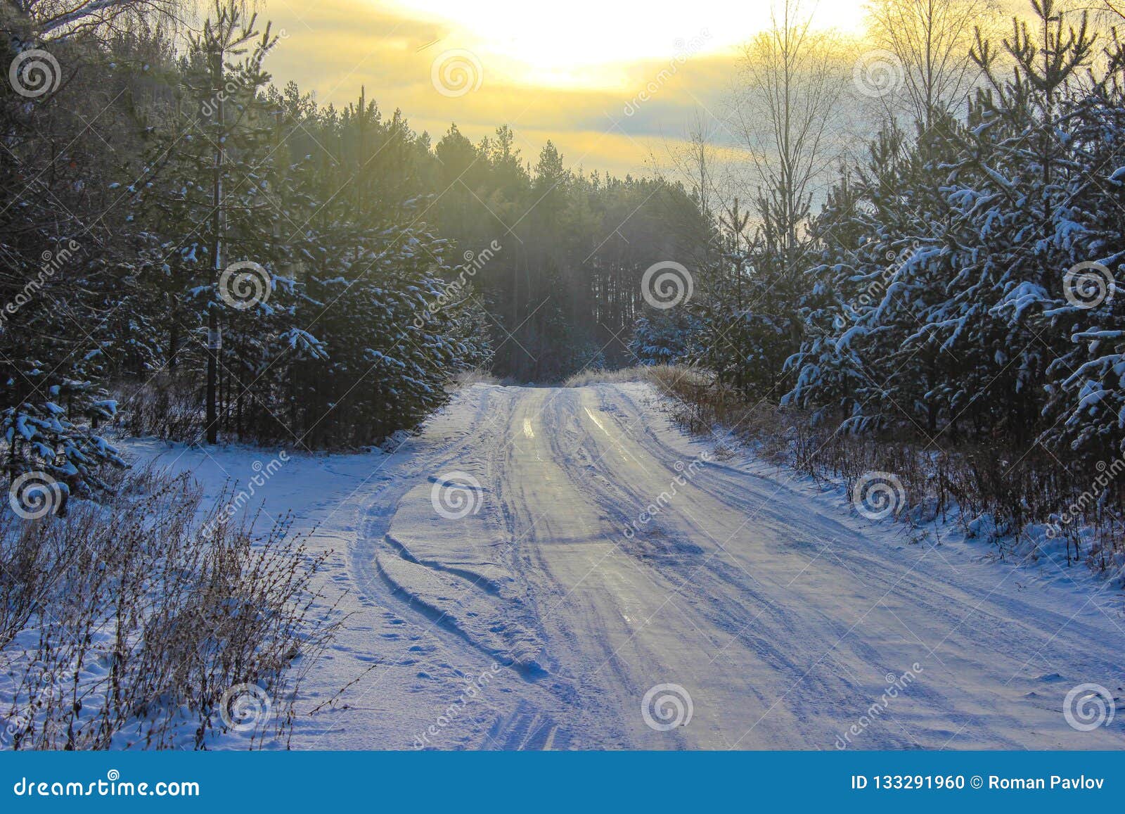 Winter Rolled on a Rural Dirt Road Stock Photo - Image of orange ...