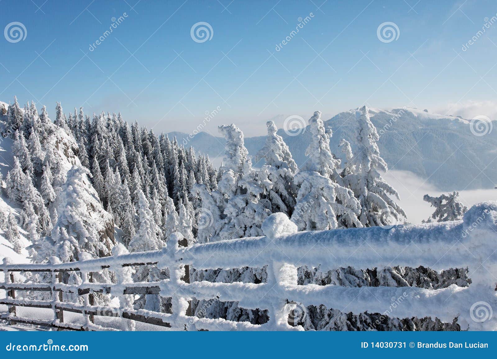 Winter in Romanian Mountain Stock Image - Image of forest, landscape ...
