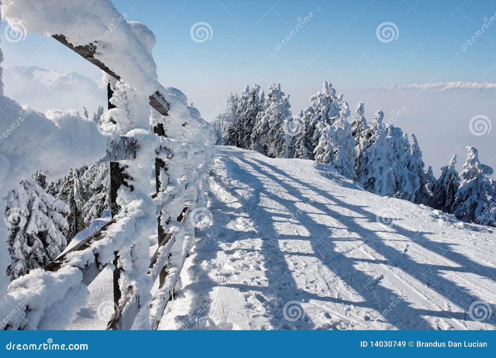 Winter in Romanian Mountain Stock Image - Image of light, branch: 14030749