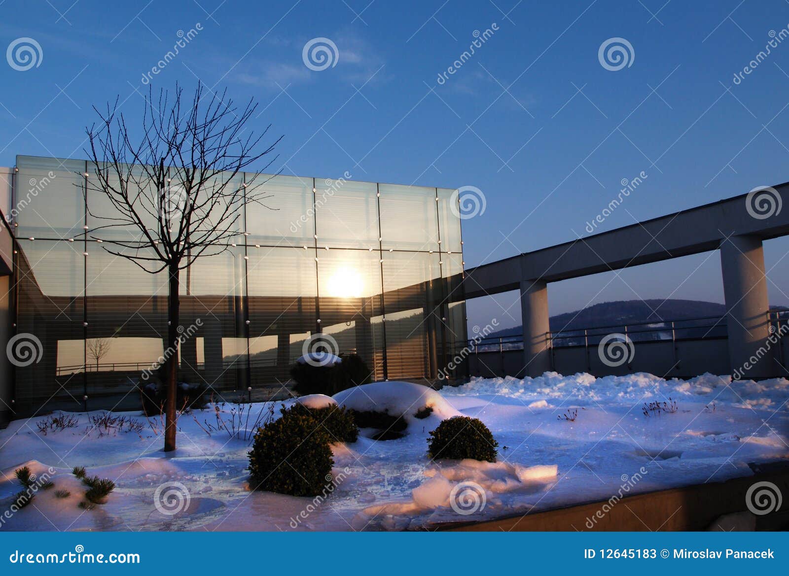 Winter roof garden stock image. Image of garden, window - 12645183