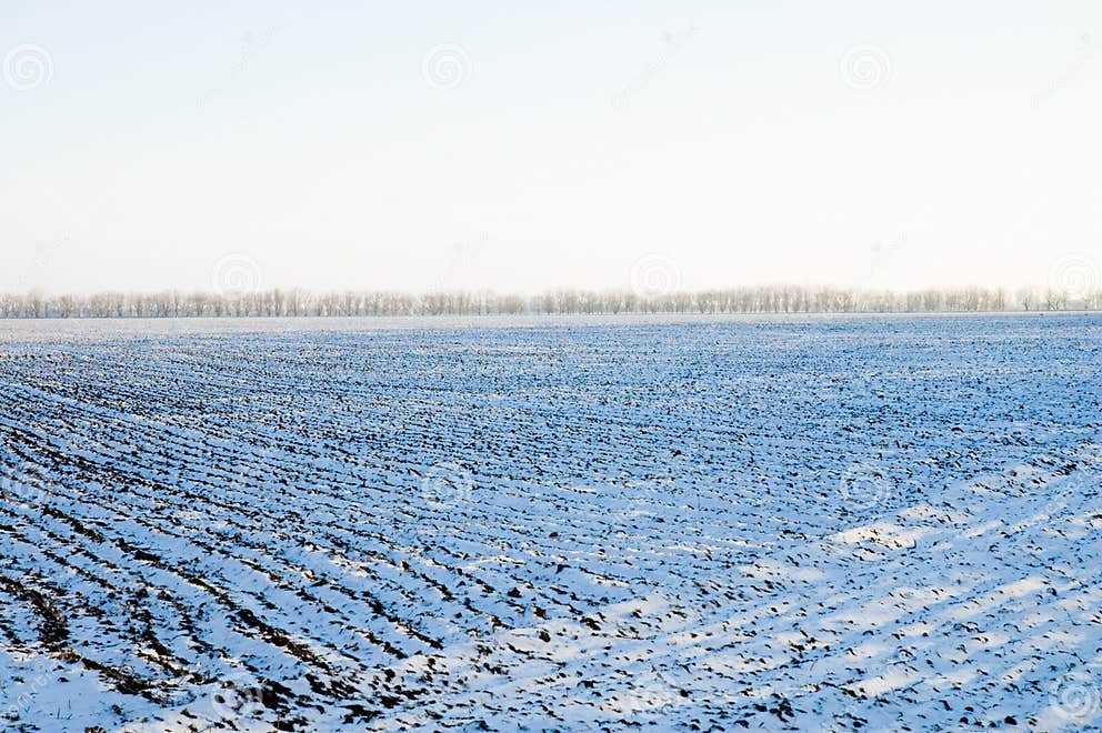 Winter rows stock photo. Image of north, ditch, agriculture - 7625846